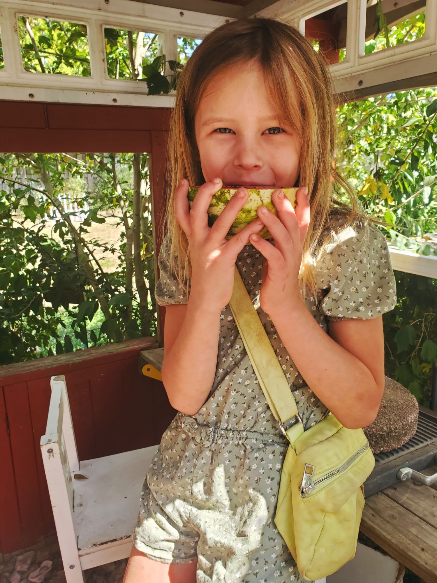 The Lifecycle of a Watermelon in Pictures – From Heroin to Housewife